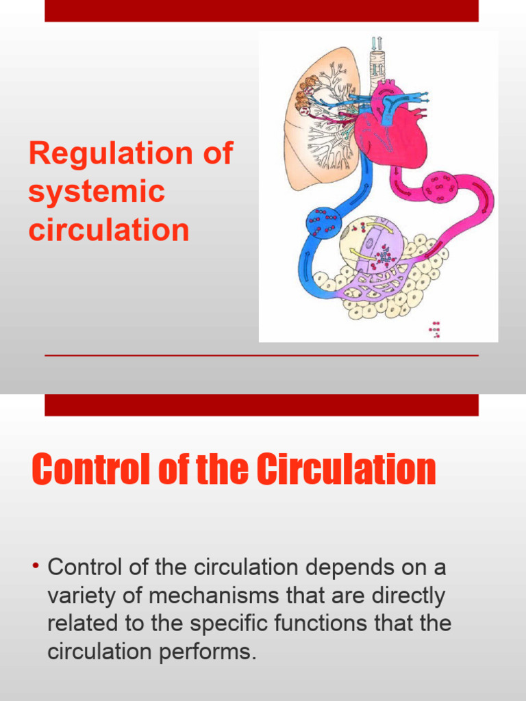 Regulation of Systemic Circulation Mechanisms | PDF | Coronary ...