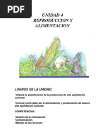 Ciclo de Vida del Conejo para Niños | PDF