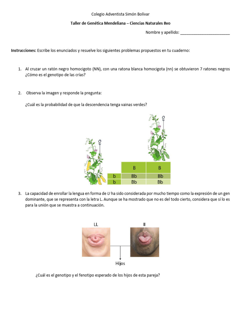 Taller genética mendeliana 2023 | PDF