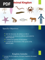 Phylum Priapulida | PDF