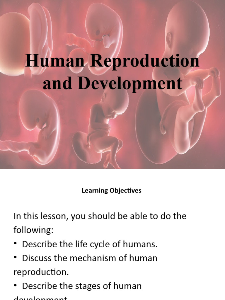 Human Reproduction & Development Guide | PDF | Human Reproduction | Meiosis