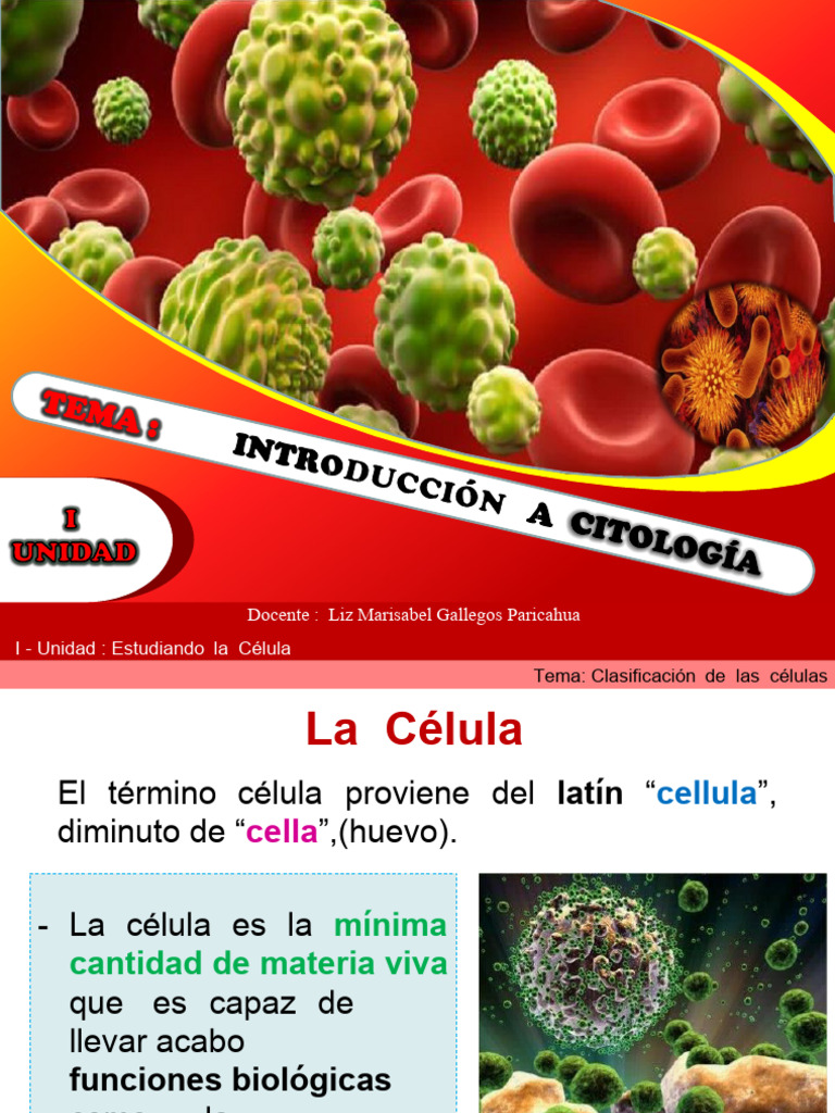 B1º PPT ACT 2 - La Celula Introduccion | PDF | Biología Celular) | Citoplasma