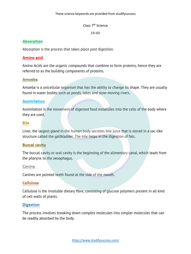 Class 7 Science ch-2 Keywords | PDF | Digestion | Ruminant