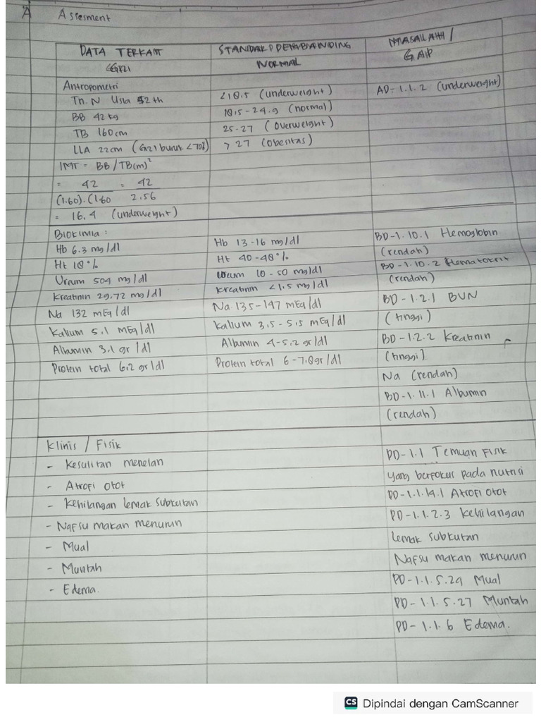 NCP - Batu Ginjal | PDF