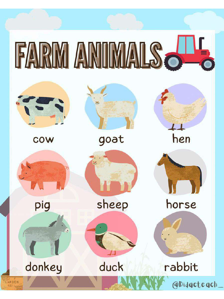 Farm Animals Vocab! | PDF