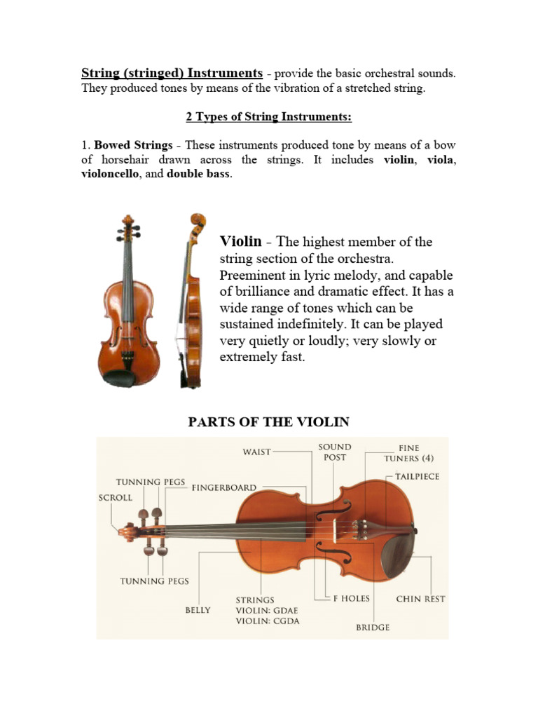 String Final | PDF | String Instruments | Guitars