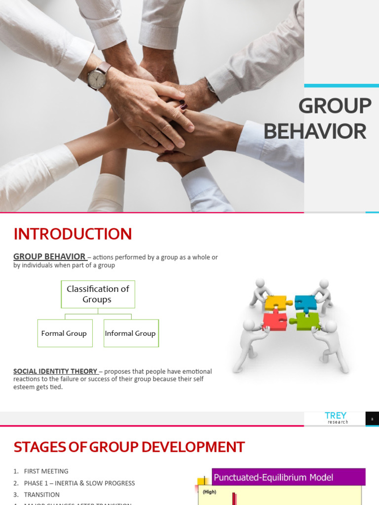 Group Behavior | PDF | Behavior | Popular Psychology