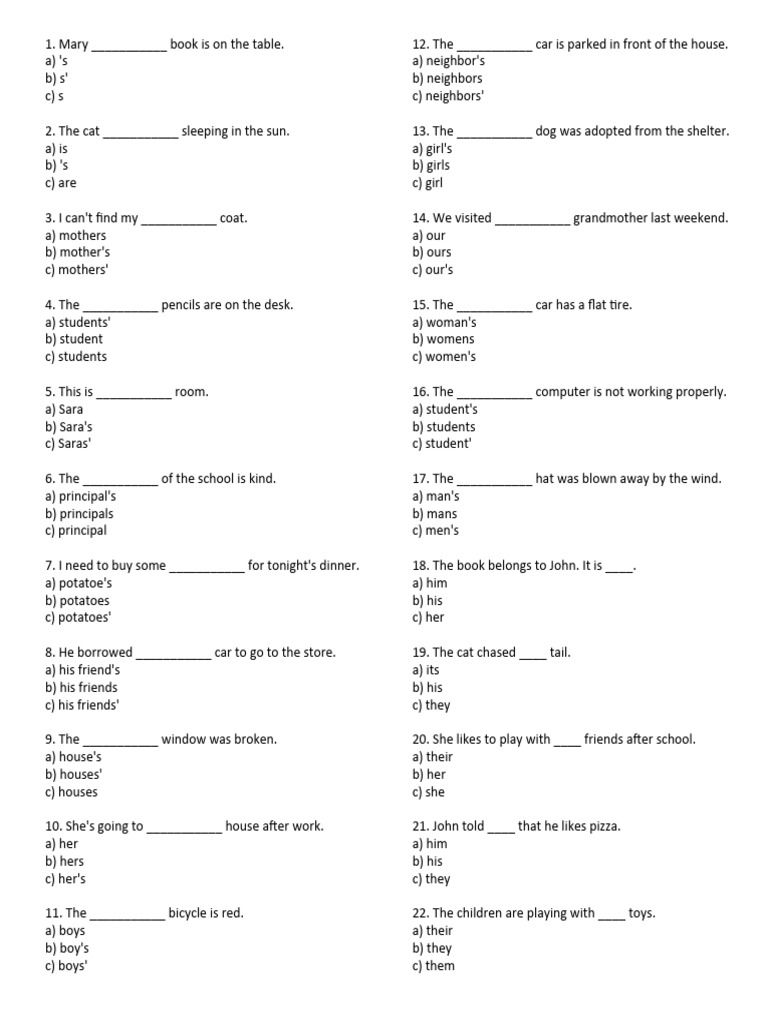 Apostrophe and Pronoun Test | PDF