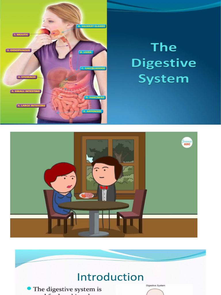 DIGESTIVE SYSTEM | PDF