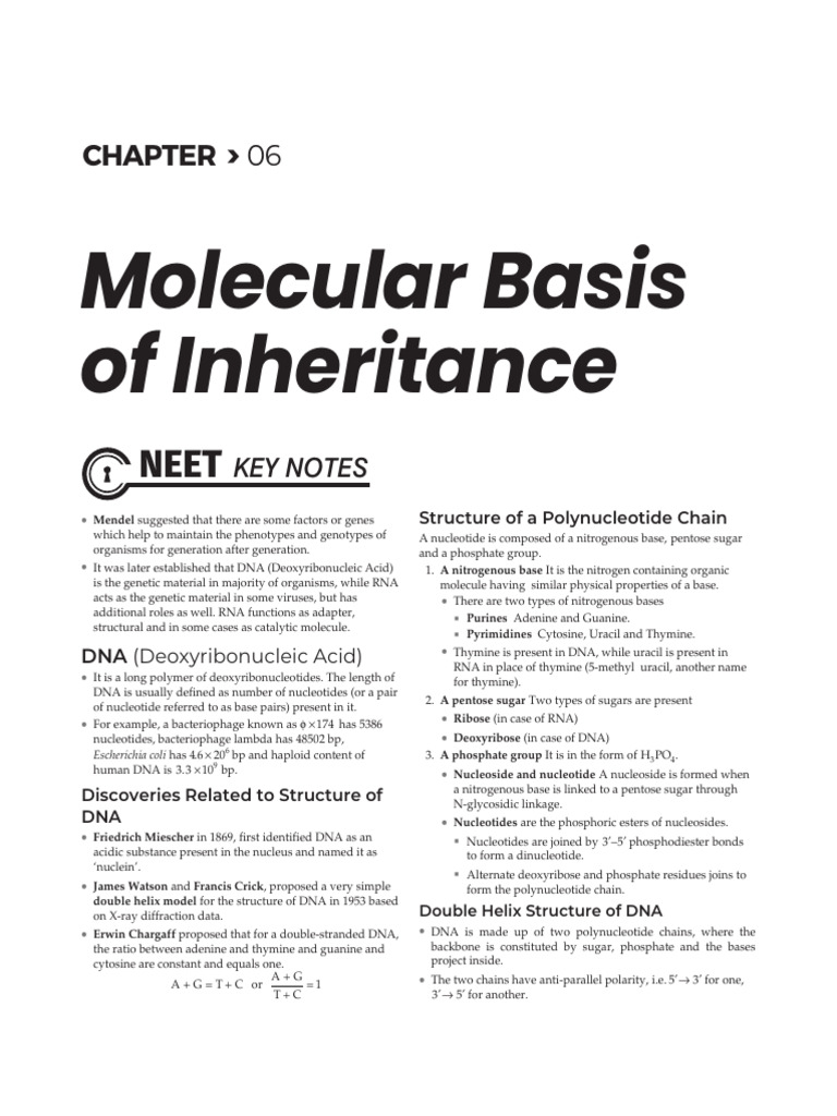 Molecular Basis of Inheritance | PDF | Operon | Translation (Biology)