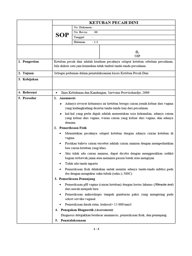 Ketuuban Pecah Dini | PDF