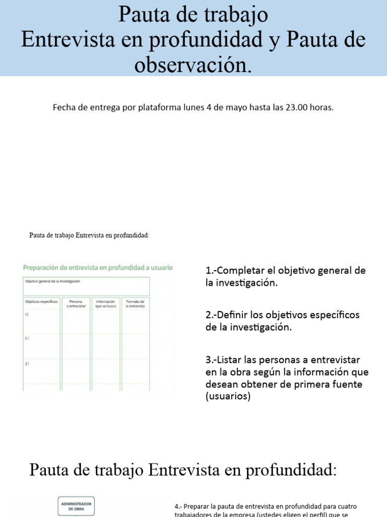 Pauta de Trabajo Entrevista Observación | PDF
