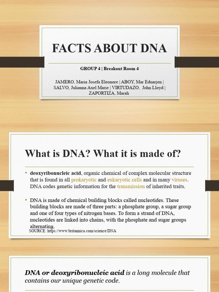 FACTS ABOUT DNA - Group 4 | PDF | Dna | Nucleic Acid Sequence