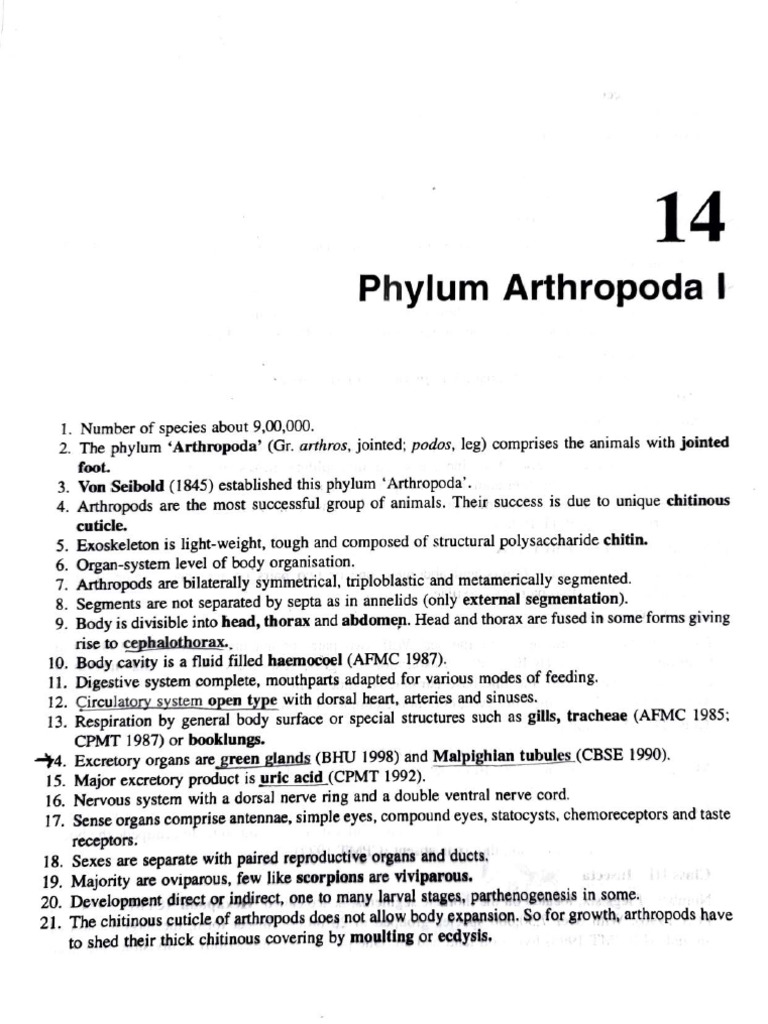 Arthropoda Rkpillai | PDF