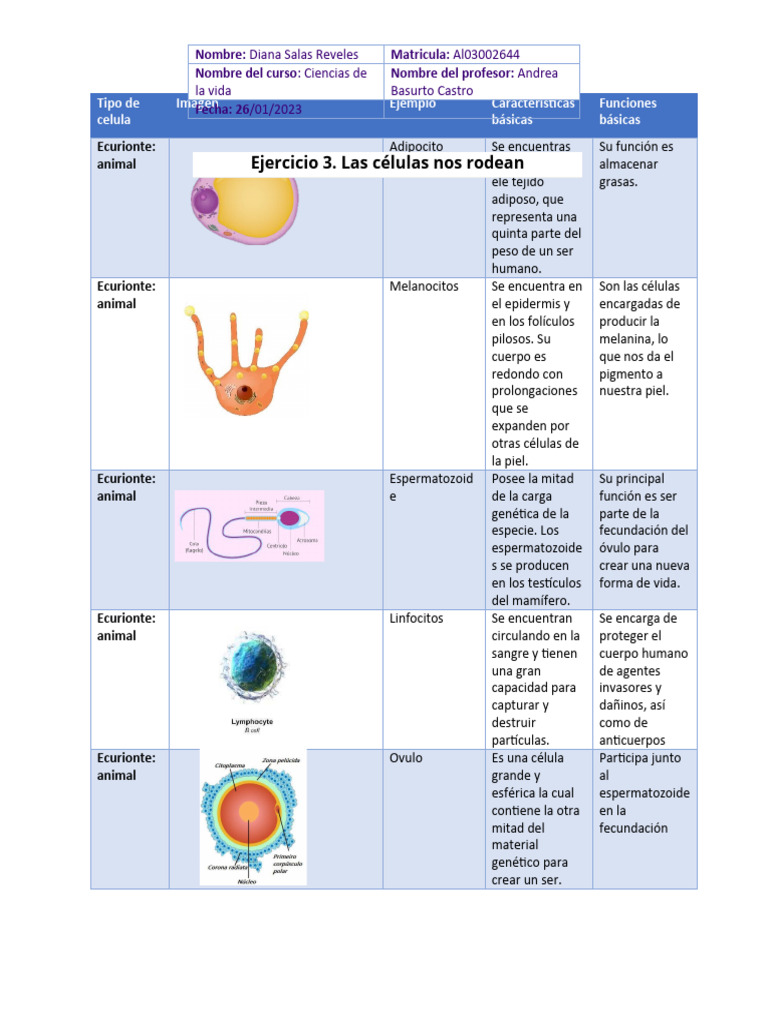 Ejercicio 3 Ciencias de La Vida | PDF | Plantas | Biología Celular)