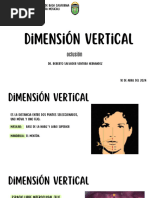 Dimensión Vertical | PDF