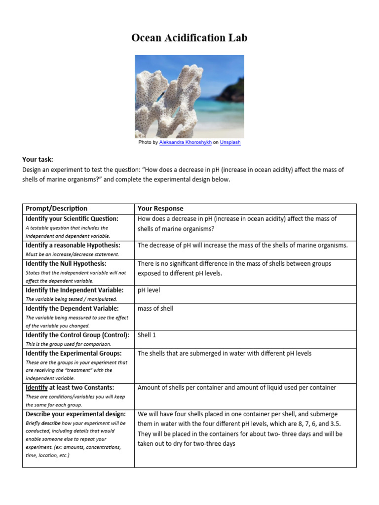 Ocean Acidification Lab1 | PDF | Experiment | Ocean Acidification