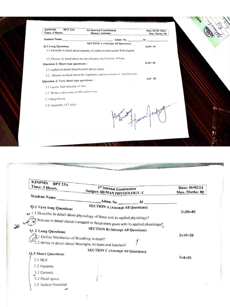 First Internal BPT 1st Sem | PDF