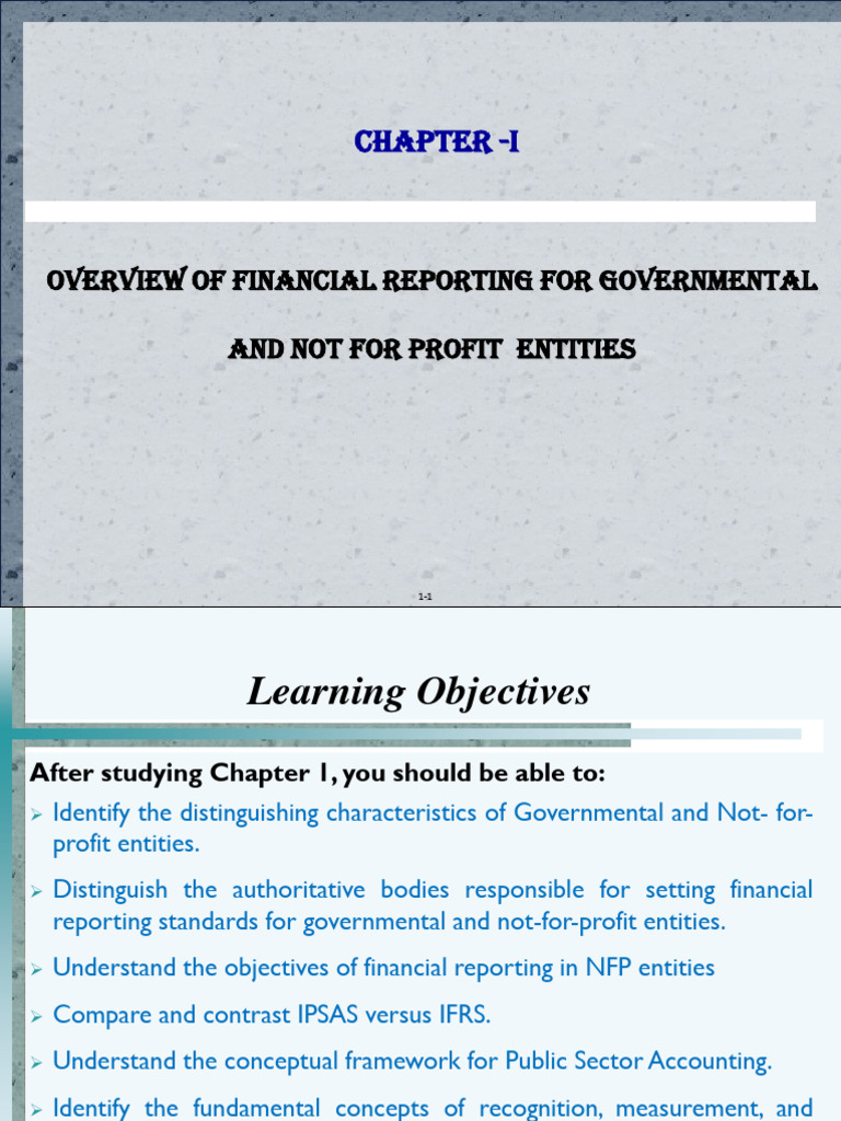 Accounting for public sector chap 1 | PDF | Financial Statement ...