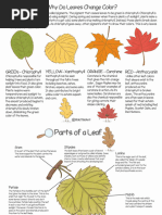 Fall Leaves Mini Book | PDF