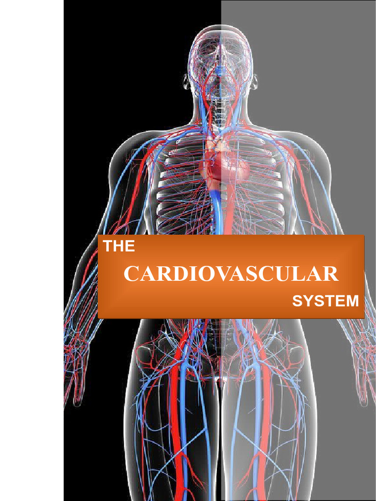 The Cardiovascular System Final | Download Free PDF | Red Blood Cell | Blood Type