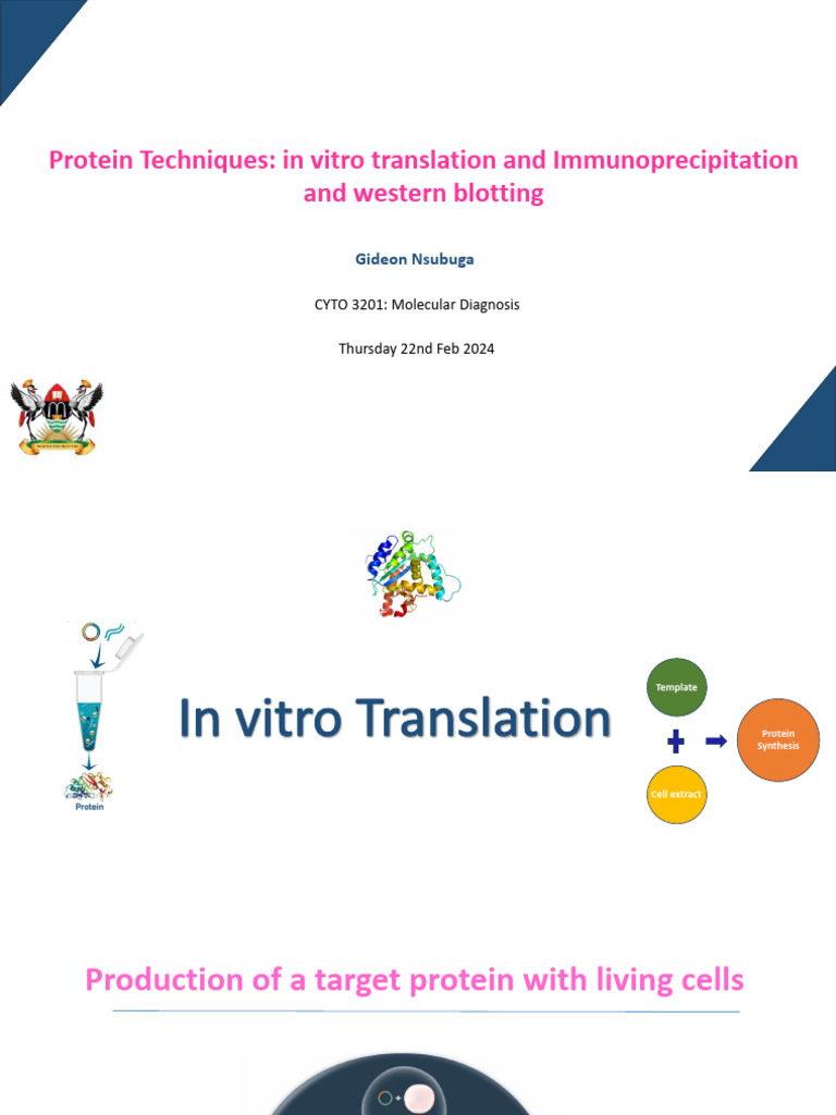 Protein Techniques | PDF | Translation (Biology) | Gel Electrophoresis