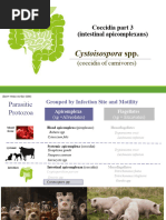 Cyniclomyces Guttulatus | PDF | Pathology | Dogs