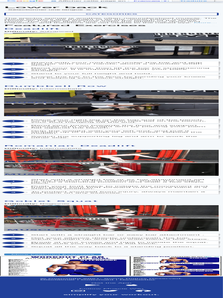 Lower Back - MuscleWiki | PDF | Anatomy | Human Anatomy