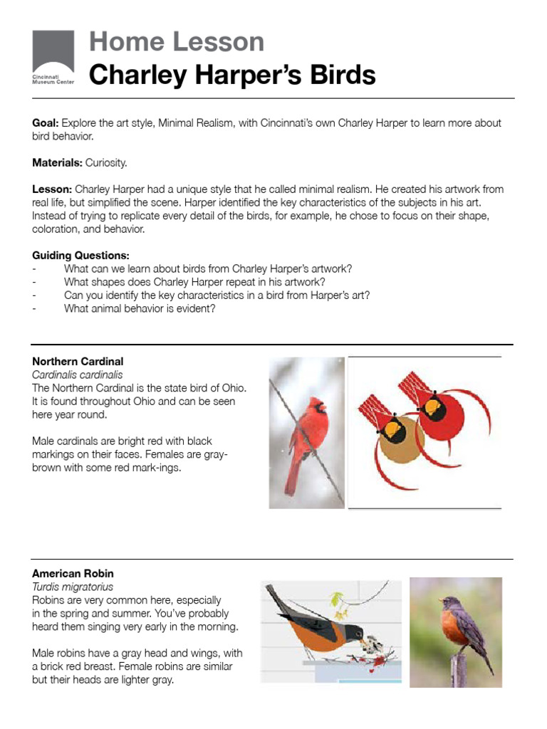 Harper Birds | PDF | Zoology | Dinosaurs Of North America