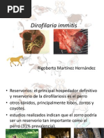 Setaria Equina | PDF | Biología | Enfermedades y trastornos