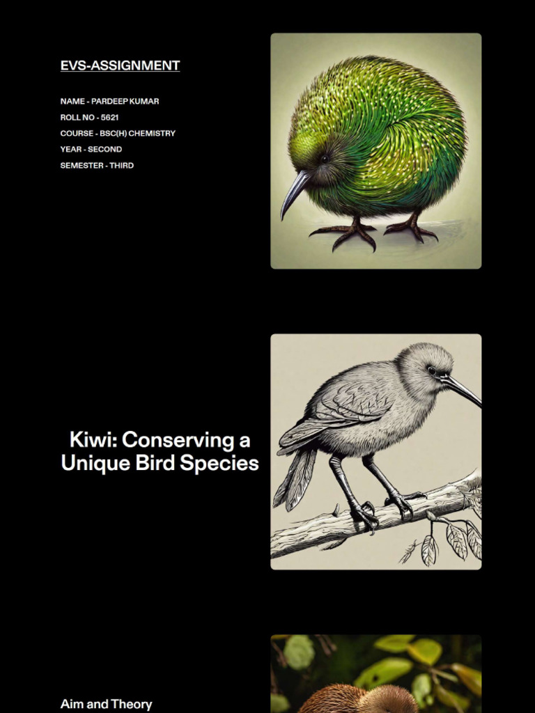 Evs Presentation | PDF