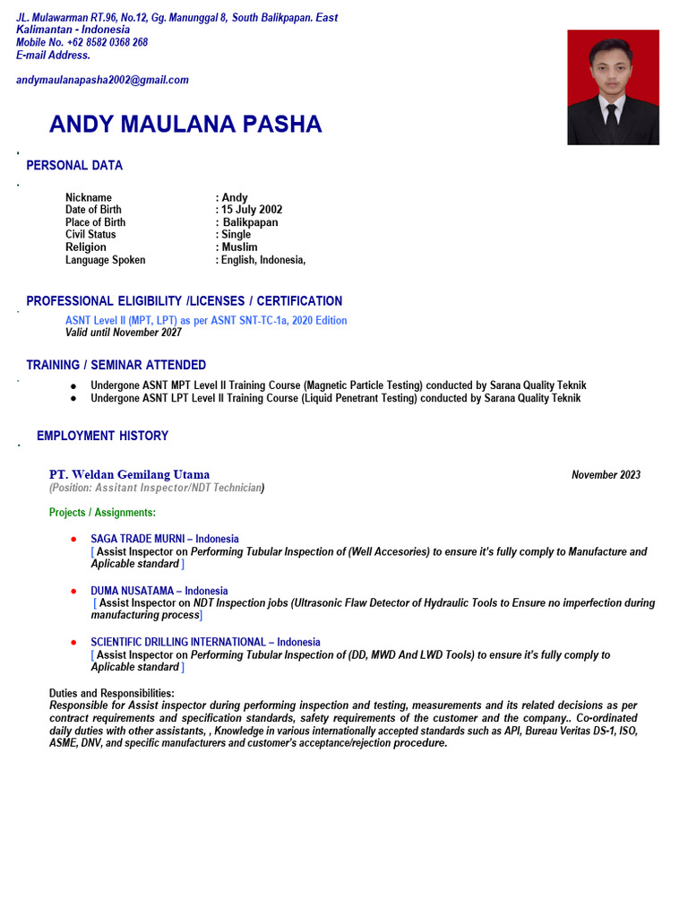 Cv Andi 2024 Pdf Nondestructive Testing