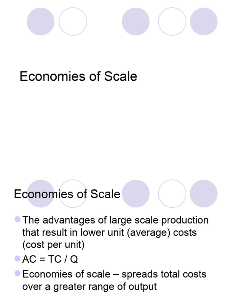 Economies of Scale | PDF | Economies Of Scale | Labour Economics