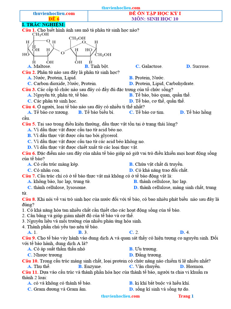 De On Tap HK1 SINH 10 KNTT de 6 | PDF