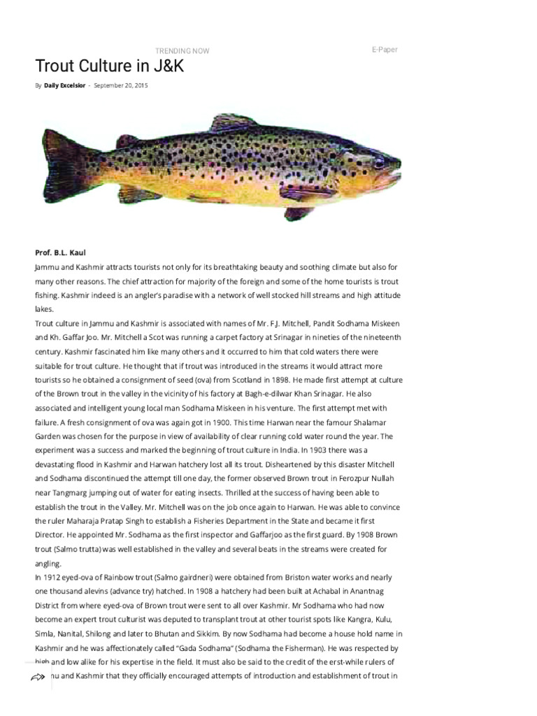 Trout Culture in J&K - Kaul | PDF | Rainbow Trout | Fish And Humans