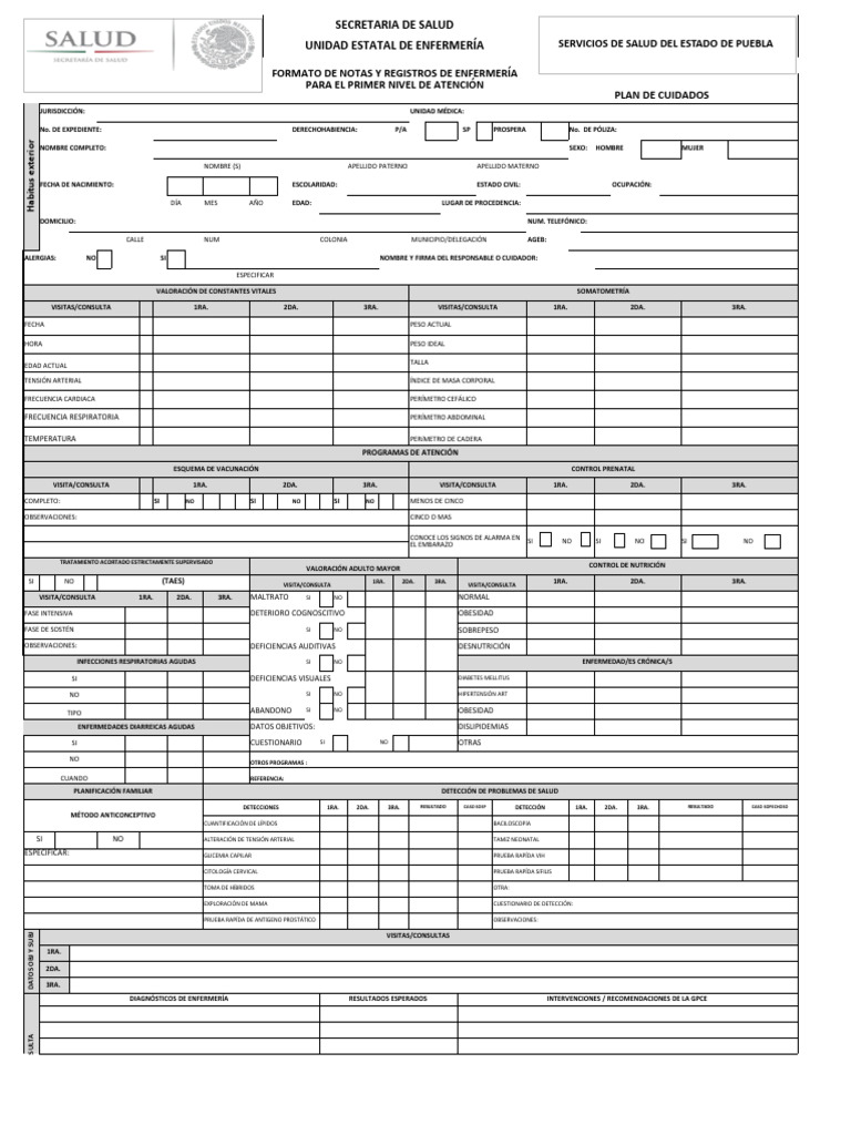 Formato Registro Enf 1er Nivel Fure | PDF | Obesidad | Diabetes
