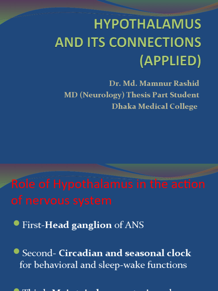 Hypothalamus - Applied | PDF | Hypothalamus | Pituitary Gland