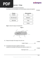 Monoclonal Antibodies WORKsheet | PDF | Antibody | Lymphocyte