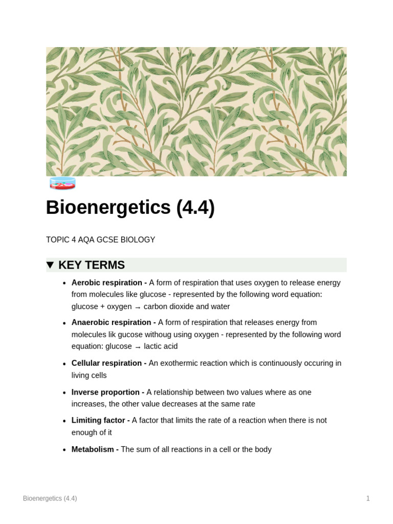 Bioenergetics (4.4) : Key Terms | PDF | Cellular Respiration ...
