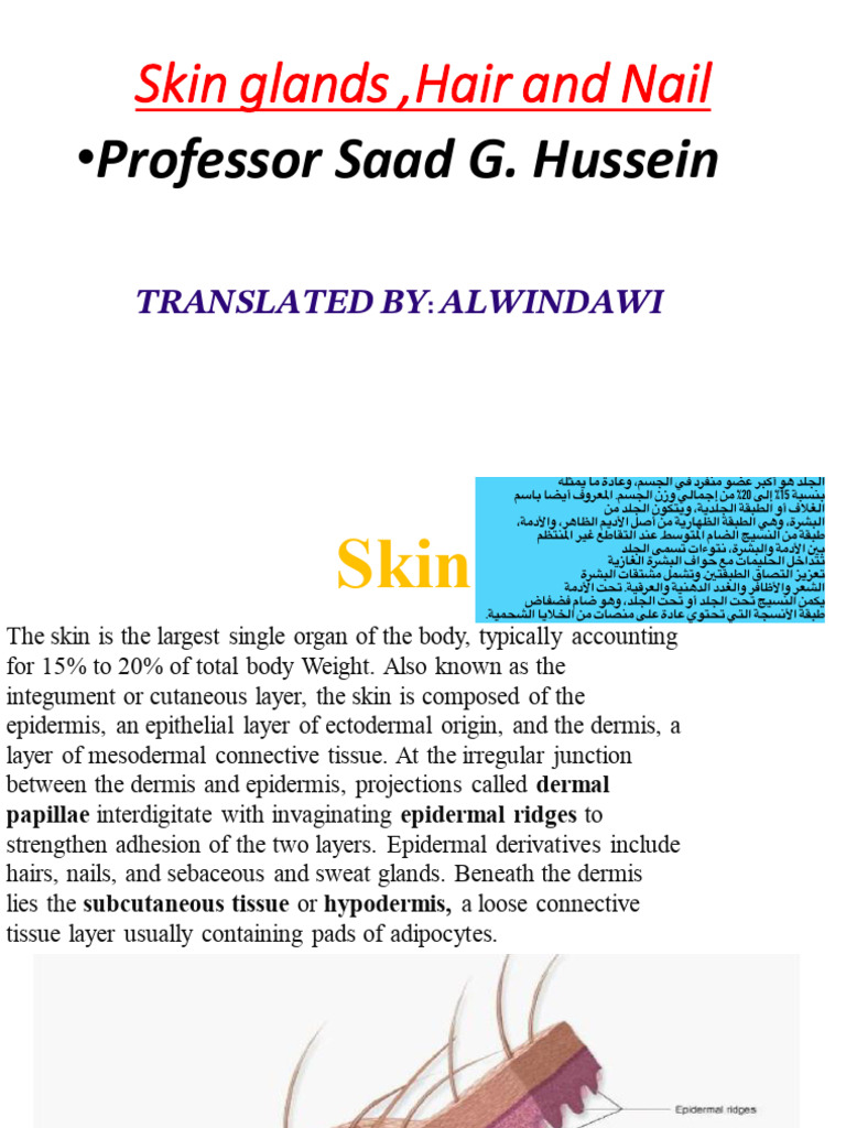 G.H lec7&8 مترجم | PDF