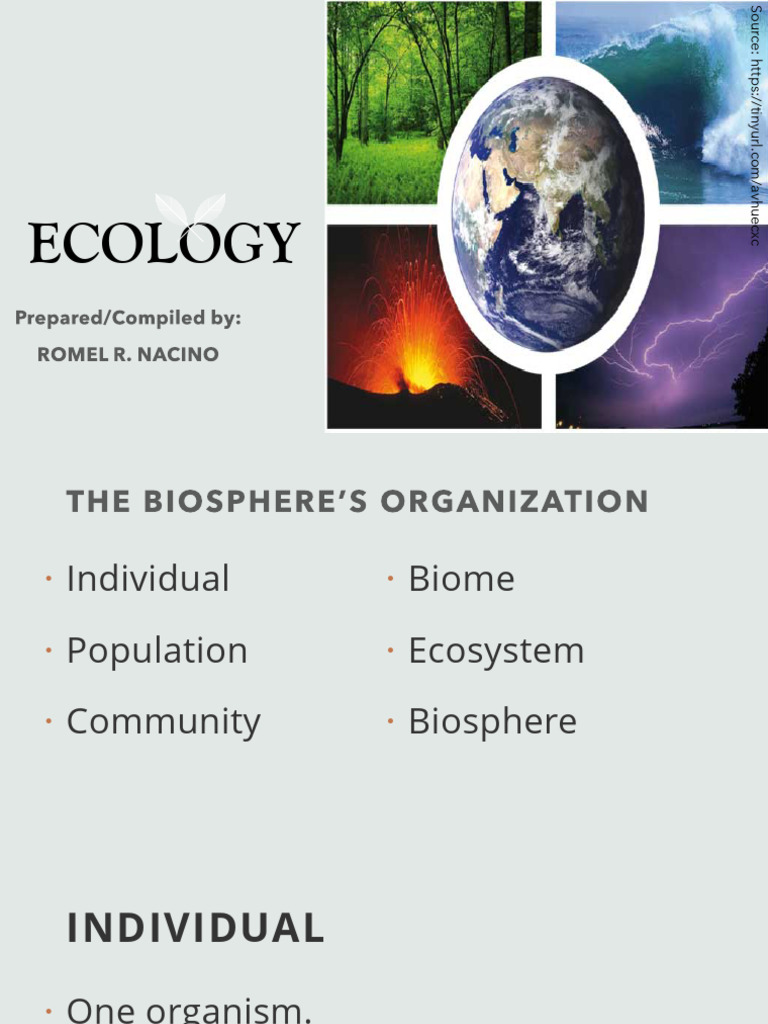 Ecology | PDF | Ecological Niche | Ecosystem