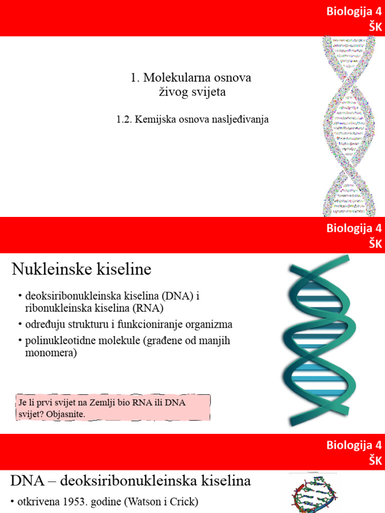 1.2. kemijska osnova nasljeđivanja | PDF