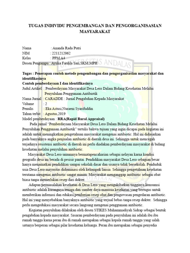 Ananda Rada Putri - Tugas Individu PPM | PDF