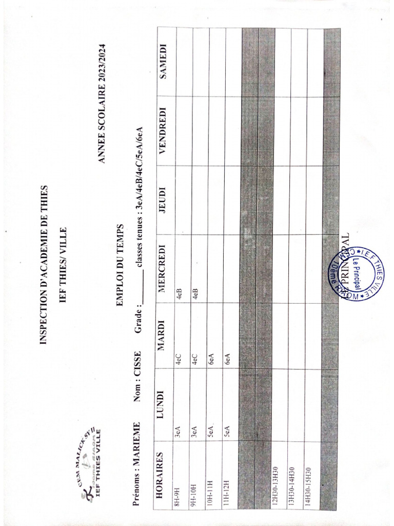 Thiané 040504 | PDF