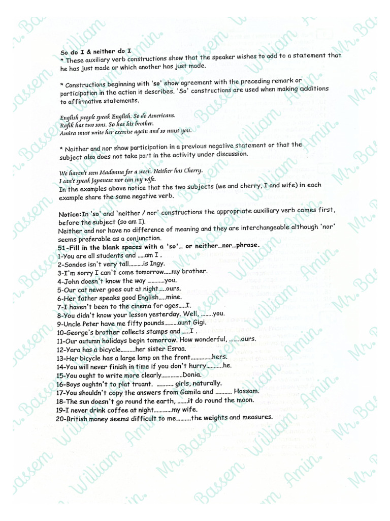 So&Neither Lesson&exercise | PDF
