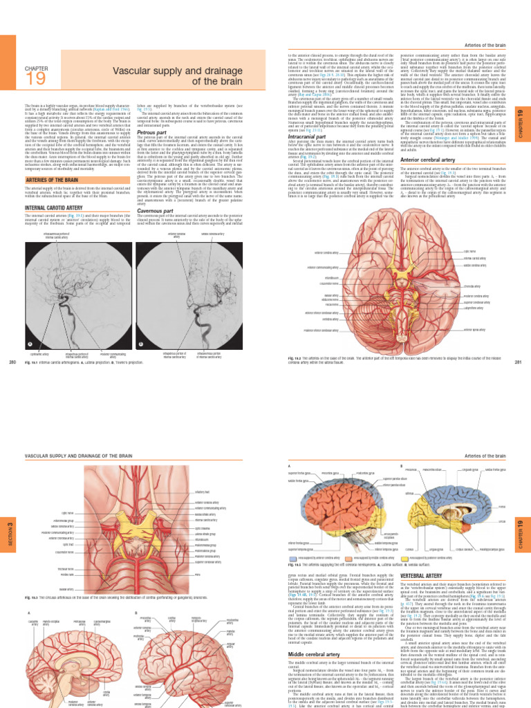 Gray's Anatomy - The Anatomical Basis of Clinical Practice - Chap 19 ... Gray's Anatomy - The Anatomical Basis of Clinical Practice - Chap 19 ...