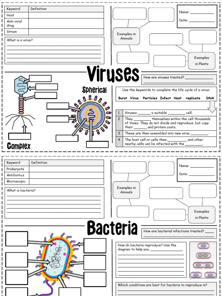 Pathogens and Disease Worksheets Science House | PDF | Virus | Fungus