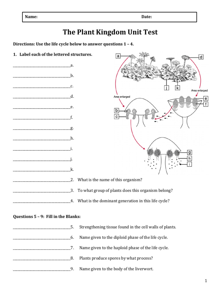 Plant Kingdom Unit Test | PDF | Spore | Biological Interactions