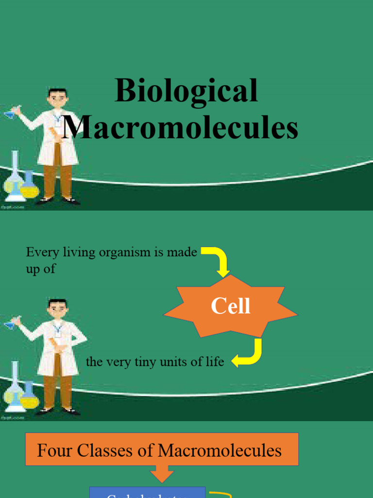 Biological Macromolecules | PDF | Carbohydrates | Glucose