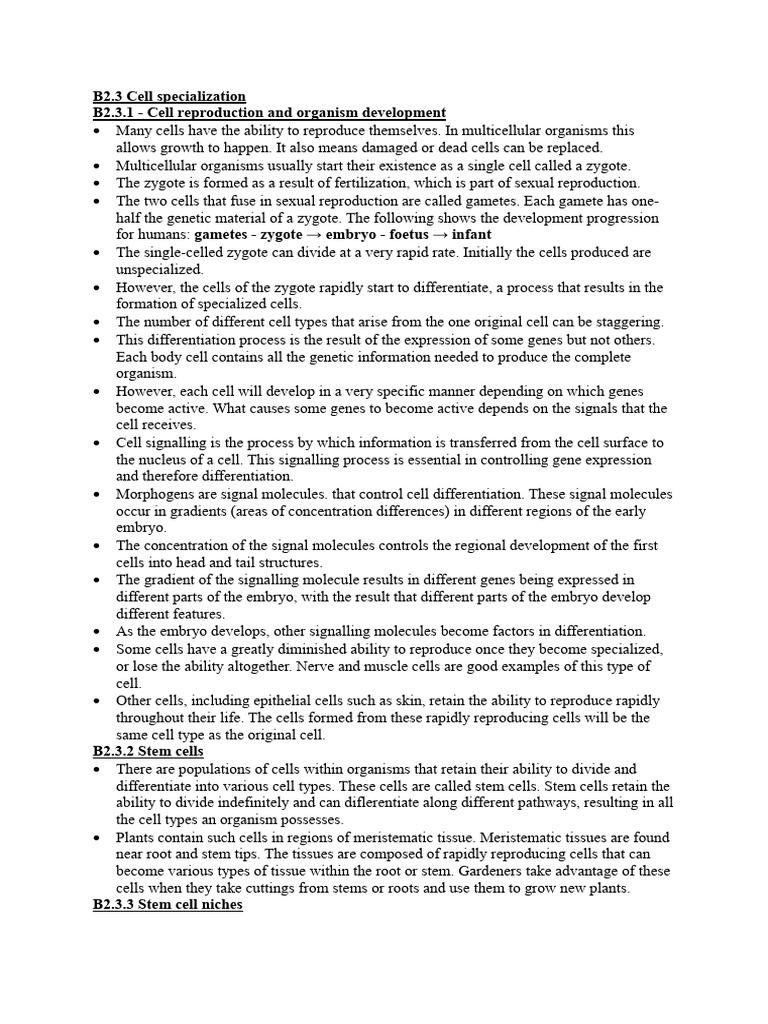 B2.3 Biology Notes | PDF | Cellular Differentiation | Stem Cell